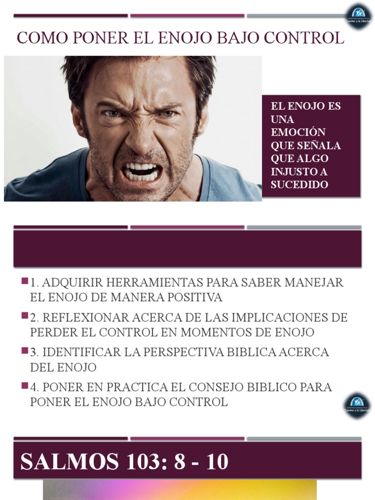 Como Poner El Enojo Bajo Control | PDF