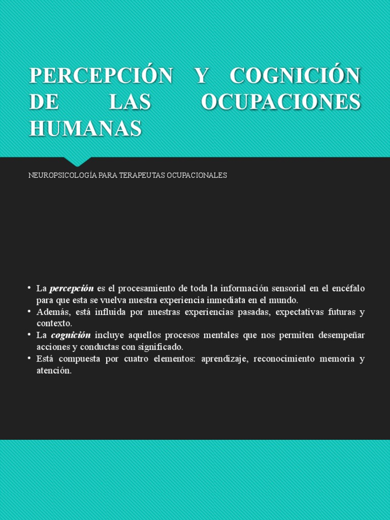 Terapia Ocupacional 2 | PDF | Percepción | Experiencia