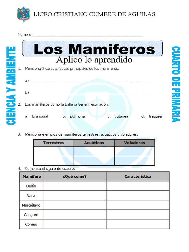Ficha Los Mamiferos para Cuarto de Primaria | PDF