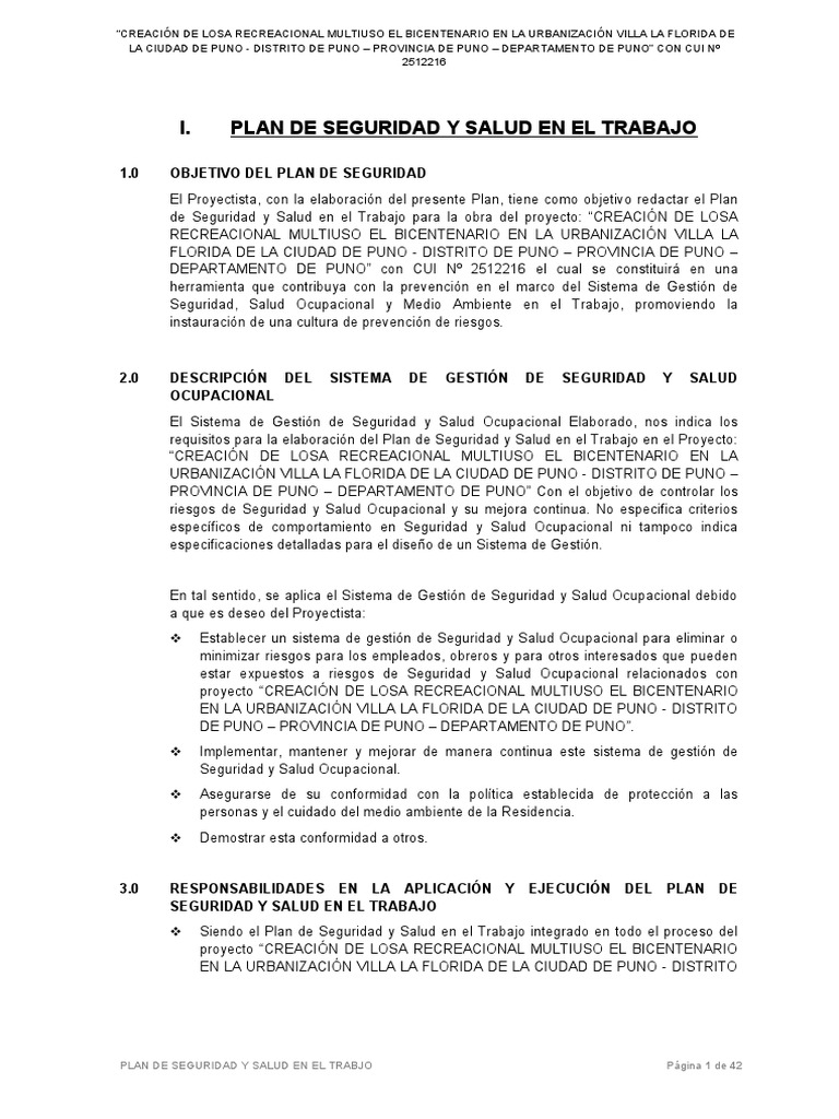 Plan de Seguridad y Salud en Obra - Nuevo Losa | PDF | Seguridad y salud ocupacional | Dirigir