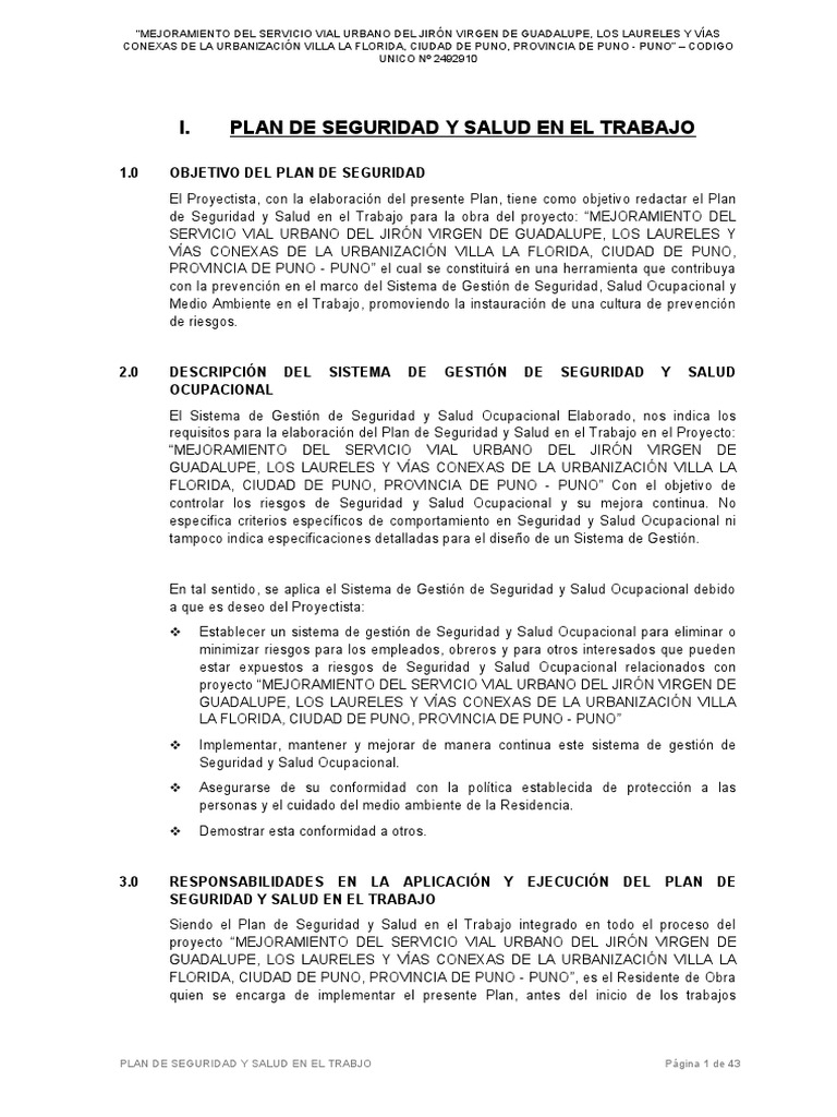 Plan de Seguridad y Salud Pistas | PDF | Seguridad y salud ocupacional
