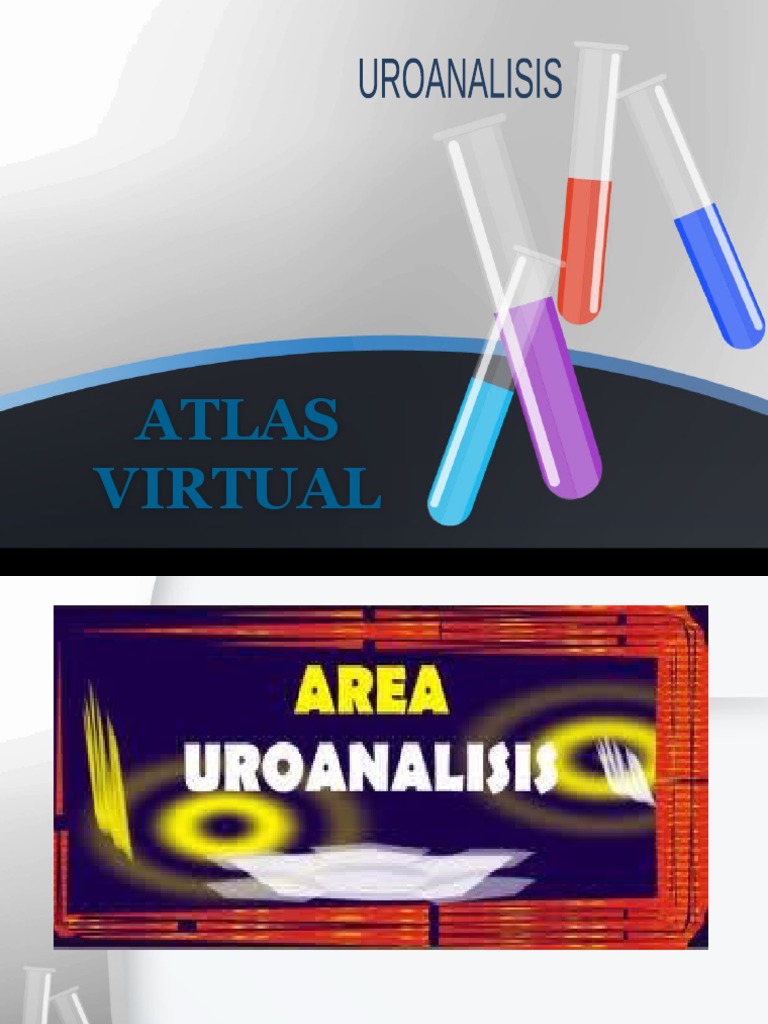 Atlas Virtual-Uroanalisis | PDF