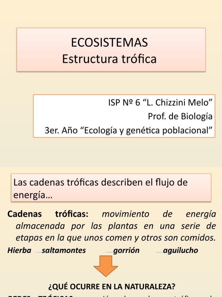 Ecosistemas - Estructura Trofica | PDF