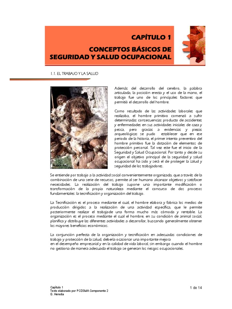 M3 Cap Tulo 1 | PDF | Seguridad y salud ocupacional | Riesgo