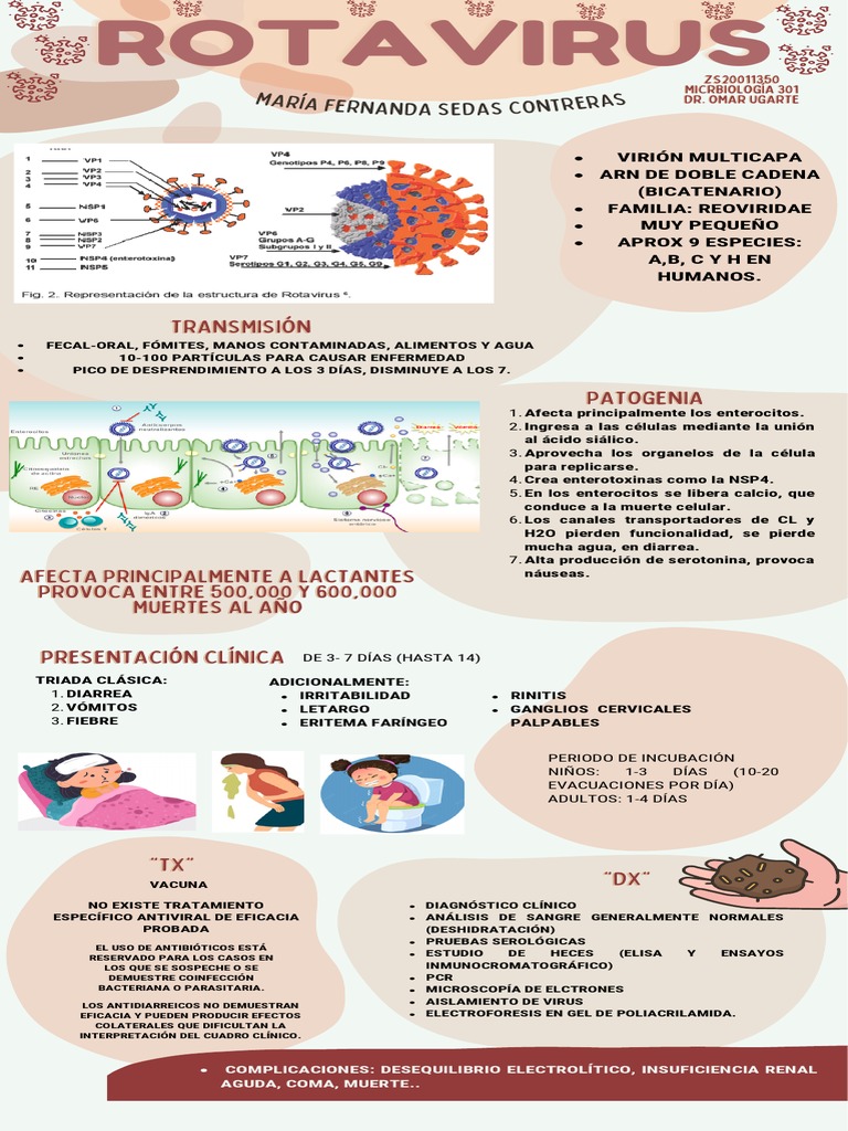 ROTAVIRUS | PDF | Diarrea | Causas de la muerte