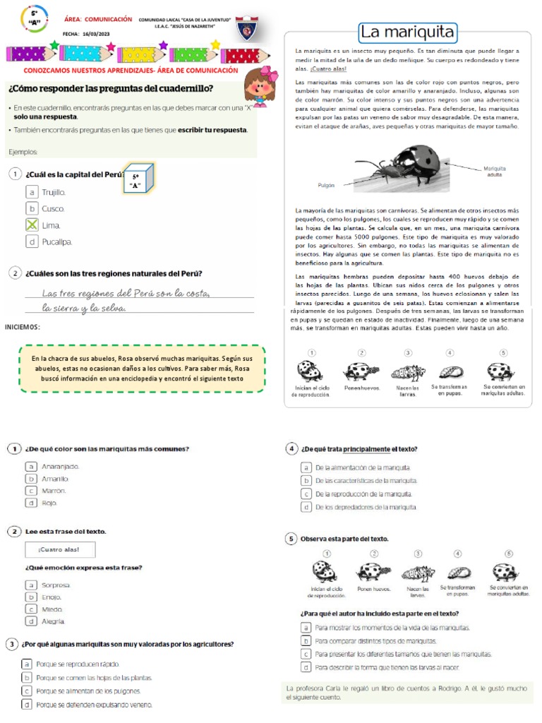 Conozcamos Nuestros Aprendizajes-Área de Comunicación | PDF
