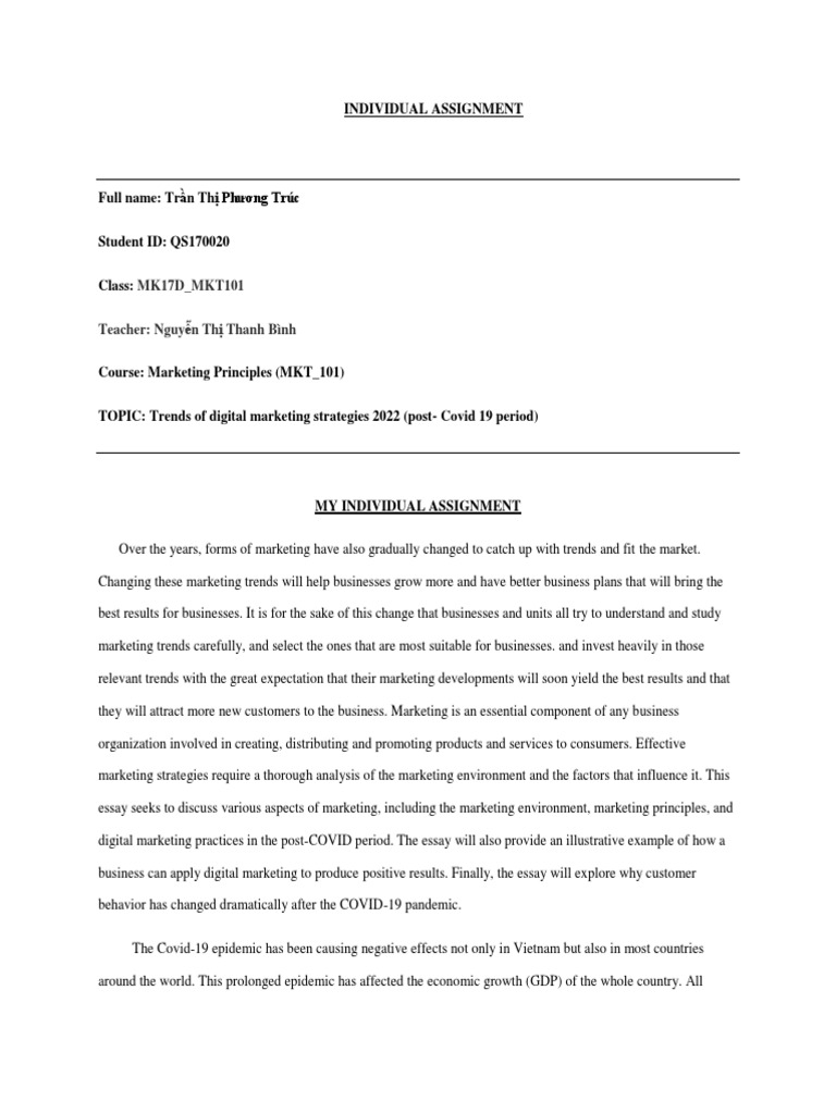 Individual Assignment | PDF | Target Audience | Digital Marketing