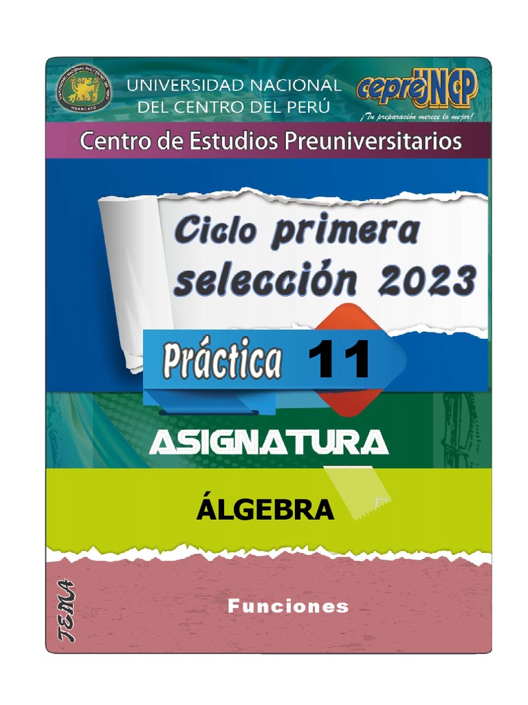 Ã - Lgebra 11 PS | PDF