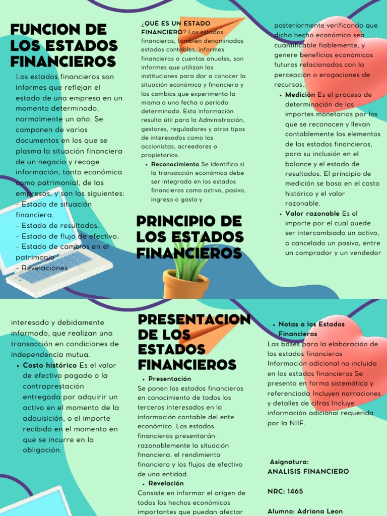 Actividad 2 Funcion, Principios y Presentacion Eeff | PDF | Estado financiero | Contabilidad