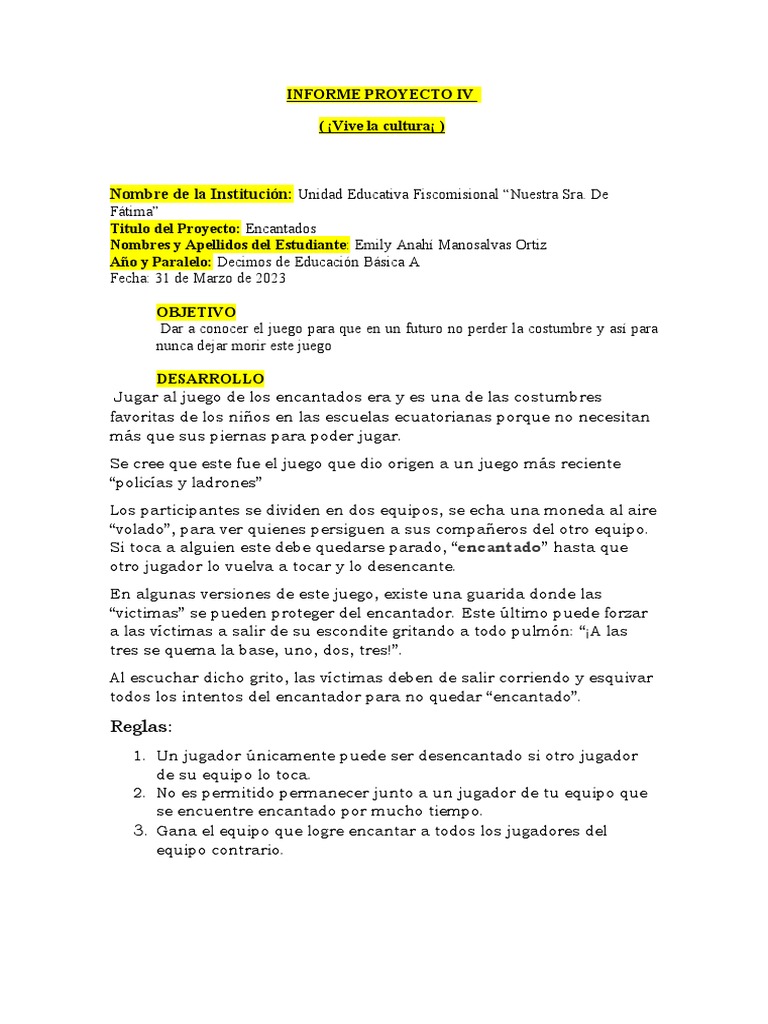 Informe Proyecto Iv | PDF