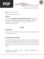 Signo de Puppe Werkgartner | PDF | Libros para adolescentes