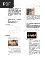 Tselane-And-The-Giant Storycard English Final | PDF