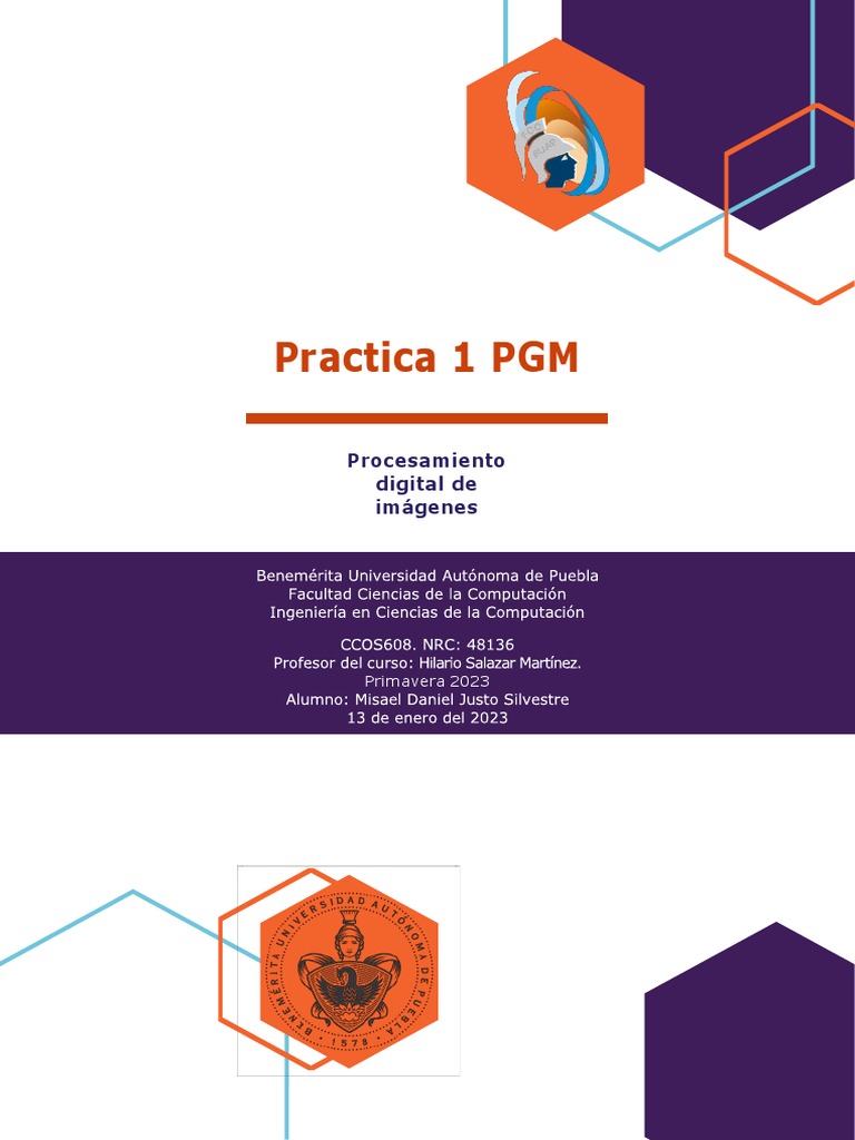 Practica 1 PGM: Procesamiento Digital de Imágenes | PDF | Algoritmos y Estructuras de Datos ...
