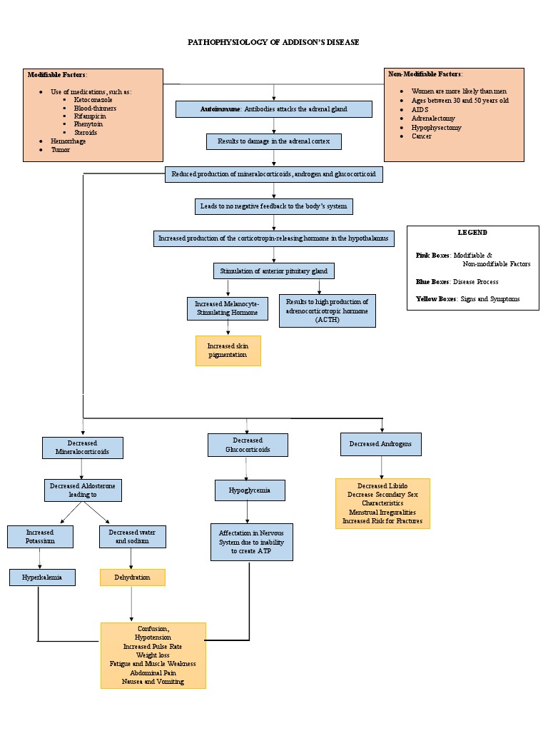 Pathophysiology of Addison's Disease Explained | PDF | Adrenal Gland ...