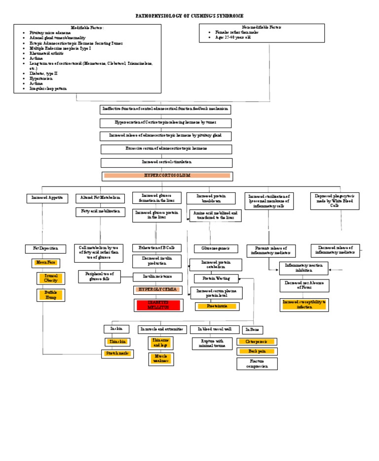 Cushing's Syndrome Pathophysiology Overview | PDF | Clinical Medicine ...