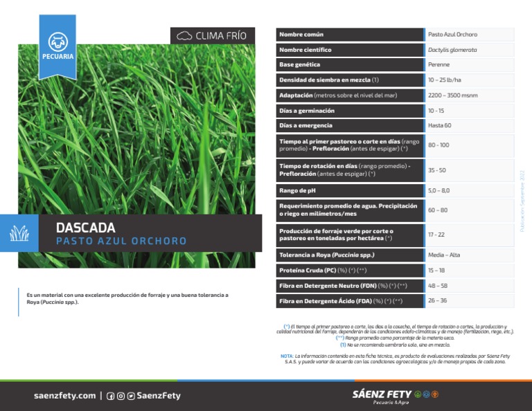 Dascada: Pasto Azul Orchoro | PDF | Agricultura