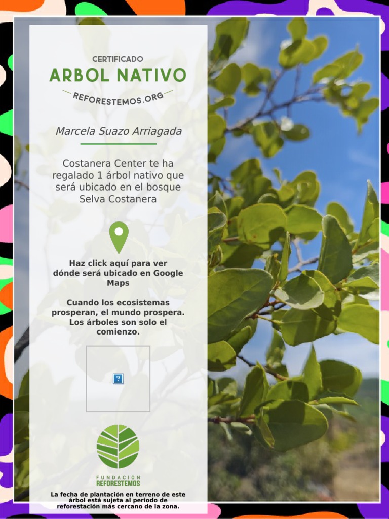 REFO OCJ3OHXKOKRT Reforestacion - Marcela Suazo Arriagada | PDF
