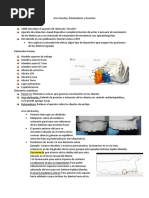 Elaboración de Ganchos Adams en Ortodoncia | PDF | Ortodoncia | Naturaleza