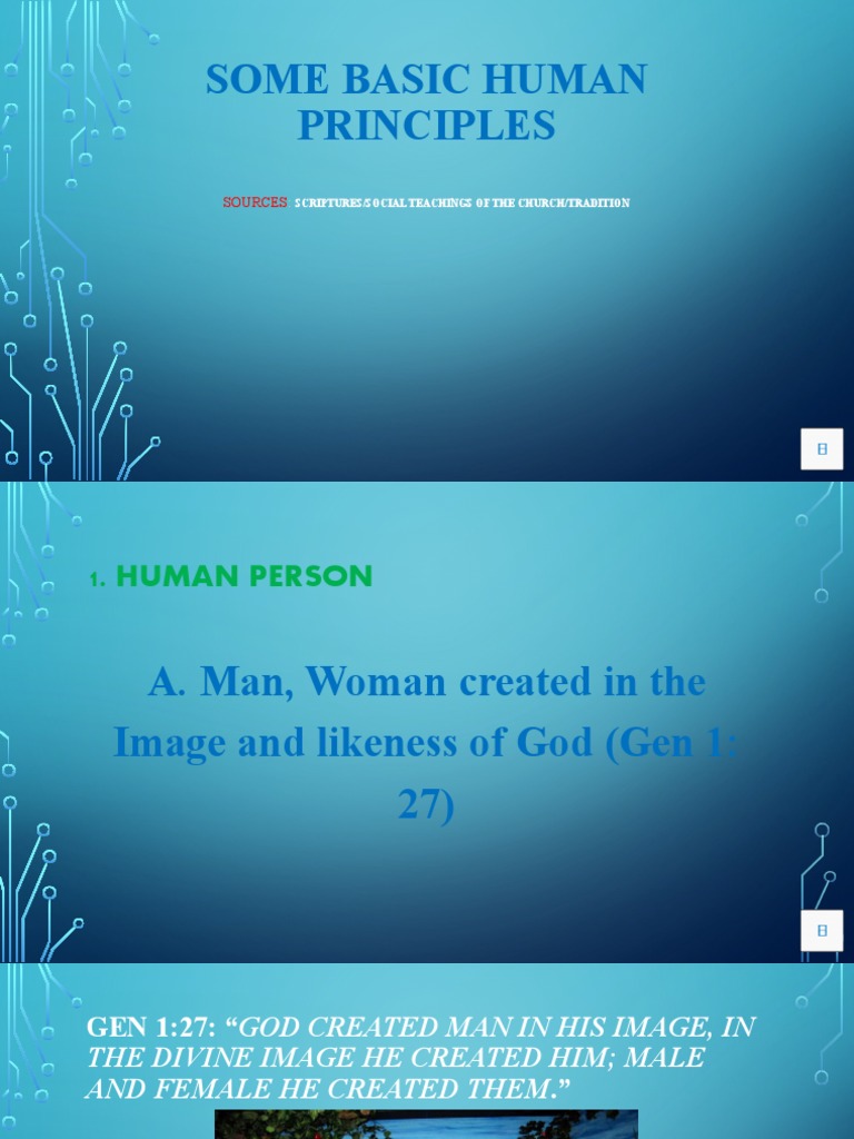 Some Basic Human Principles | PDF | Self-Improvement