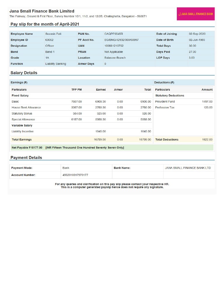 Pay Slip | PDF