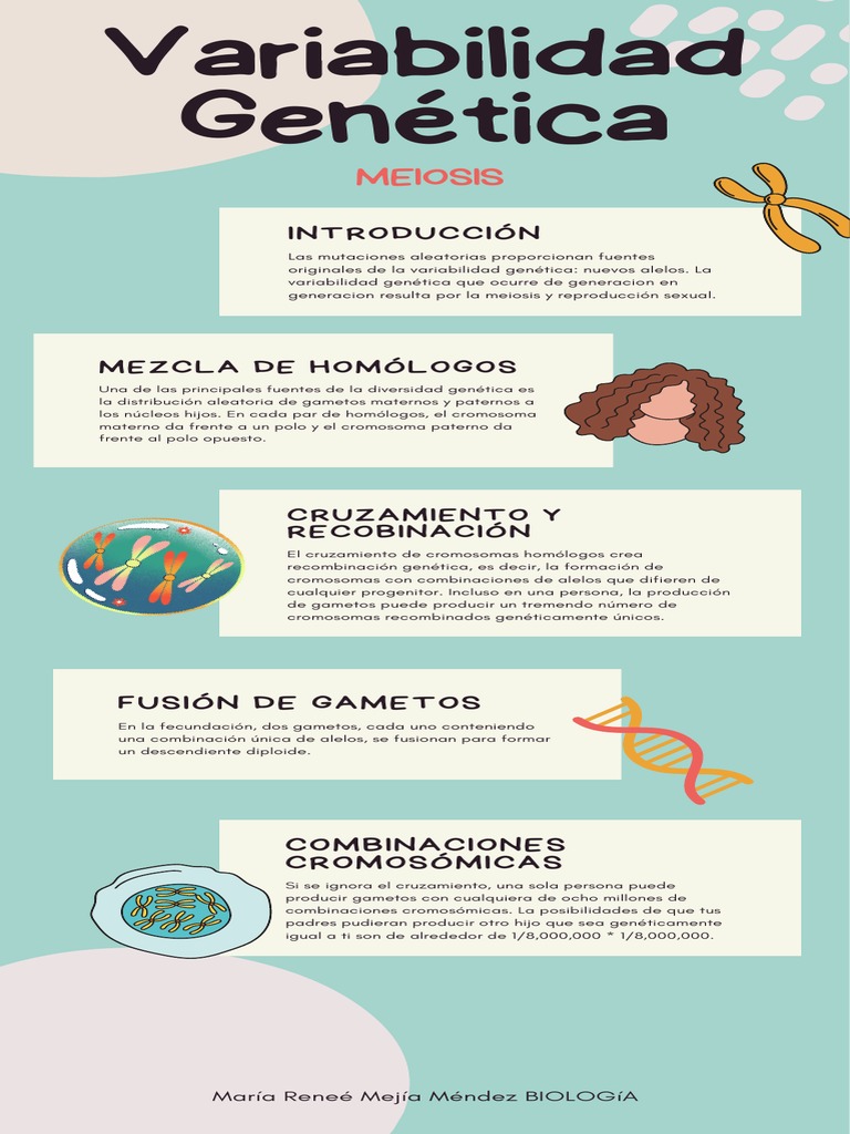Variabilidad Genética | PDF | Salud y bienestar | Ciencia y matemáticas