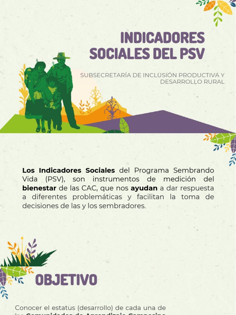 Indicadores Sociales | PDF | Sustentabilidad | Evaluación
