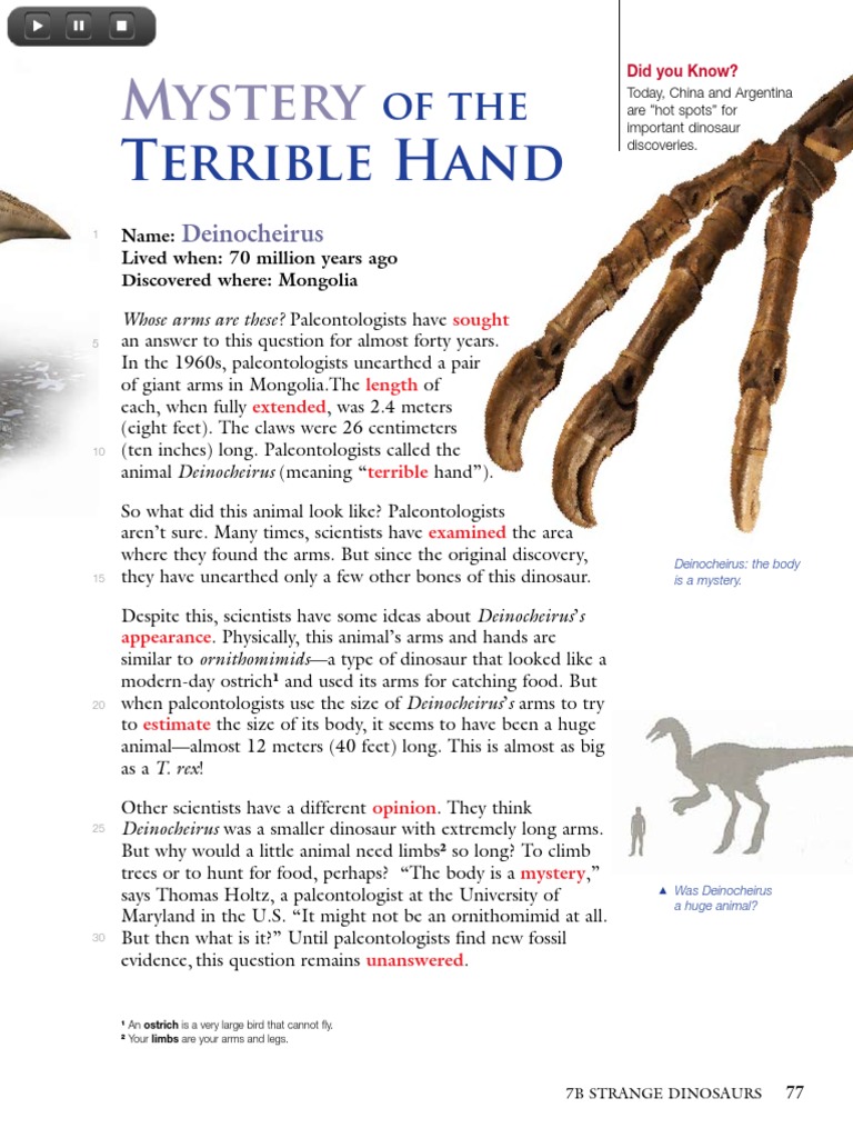 Terrible Hand: Mystery | PDF | Dinosaurs | Paleontology