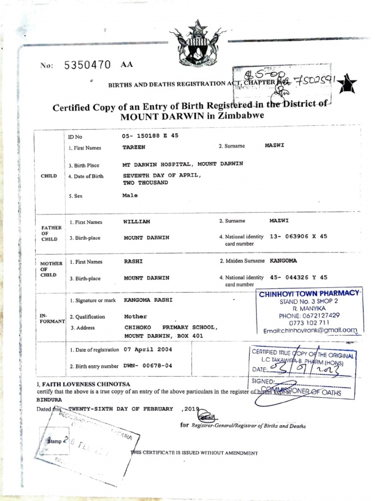 Birth Certificate | PDF