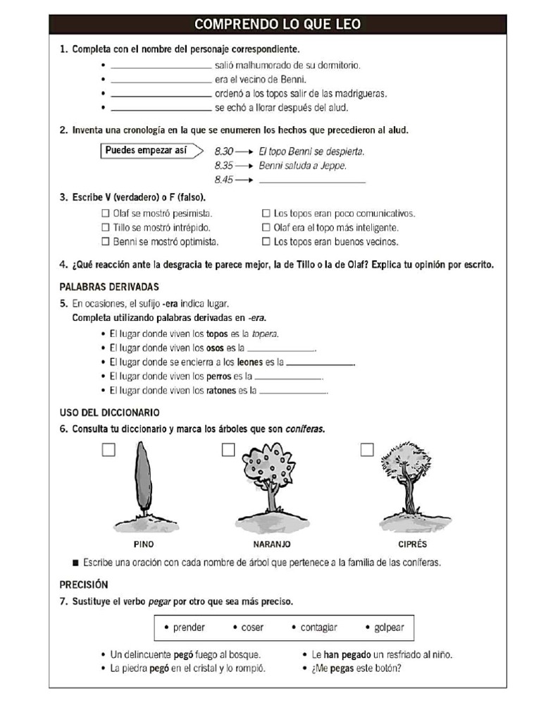 5to Primaria | PDF