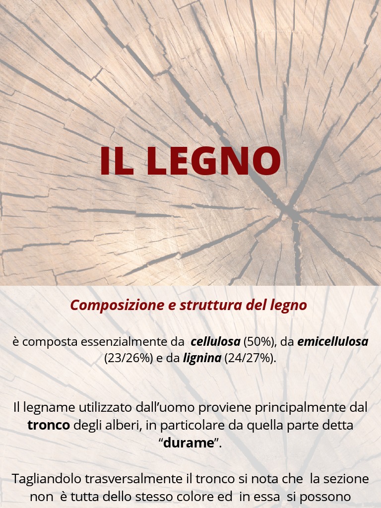 Il LEGNO | PDF