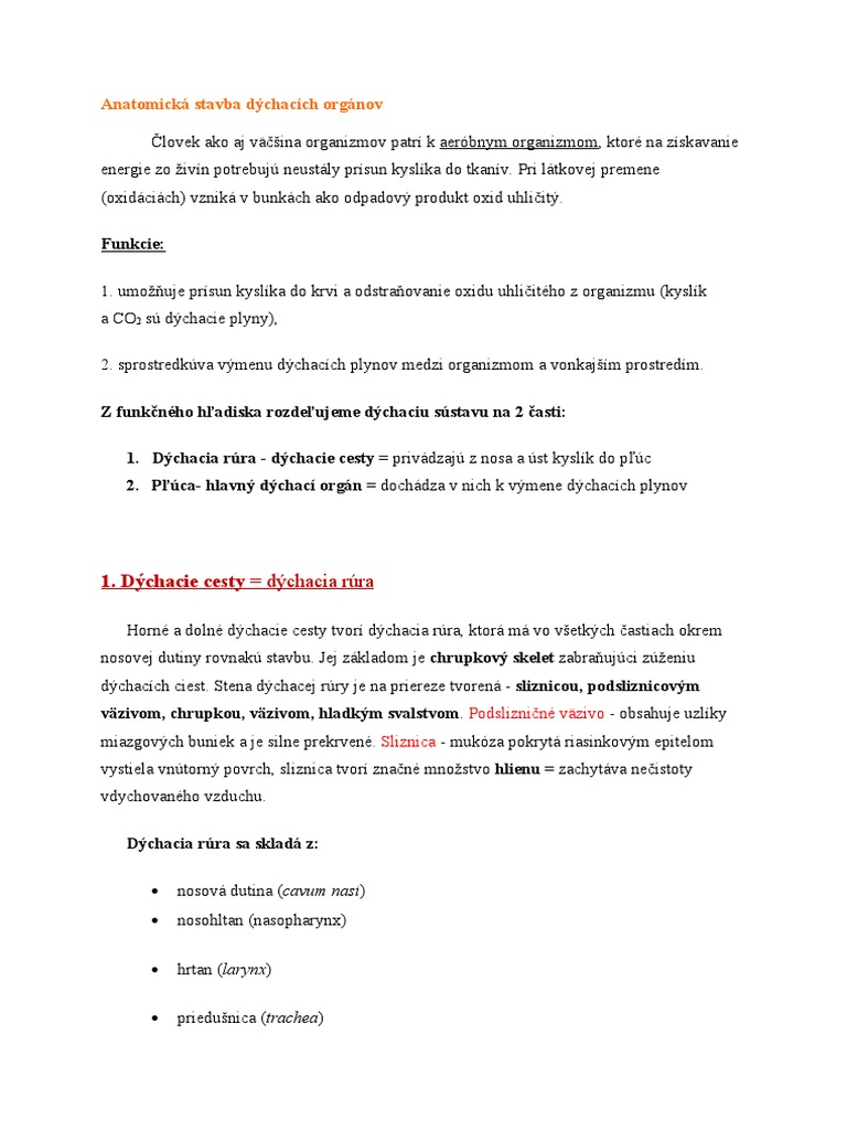 Anatomická Stavba Dýchacích Orgánov: 1. Dýchacie Cesty Dýchacia Rúra | PDF