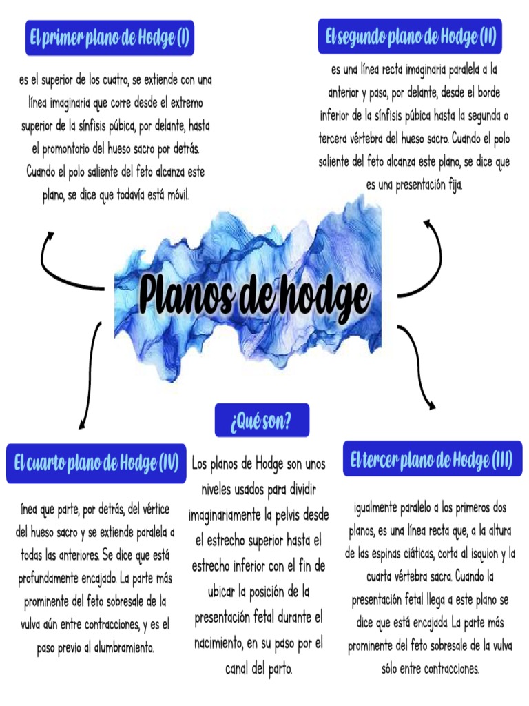 Planos de Hodge en el Parto Fetal | PDF | Filosofía