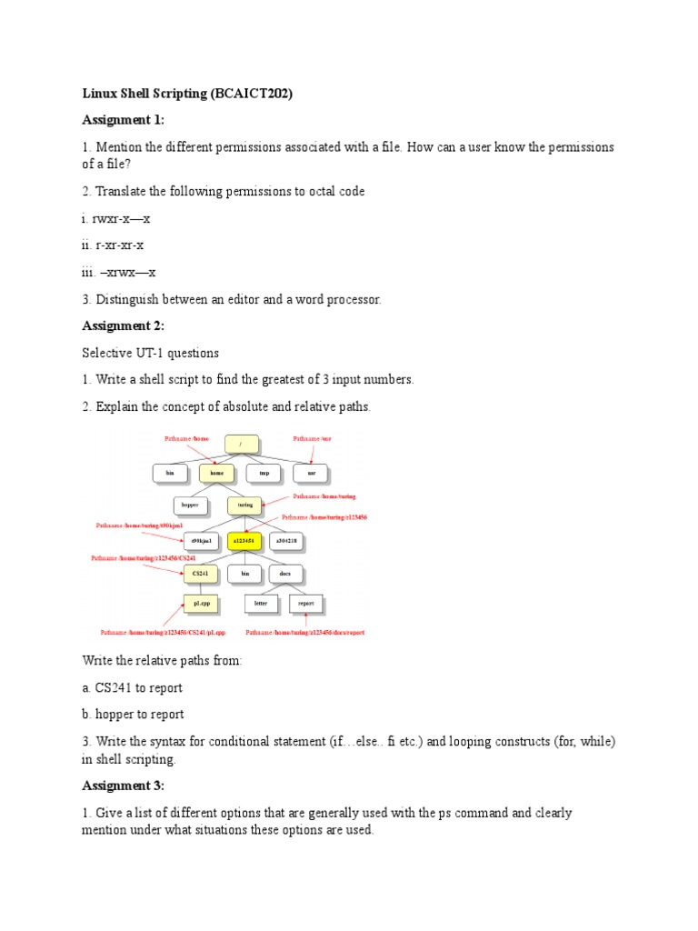Linux Shell Scripting (BCAICT202) Assignment 1 | PDF