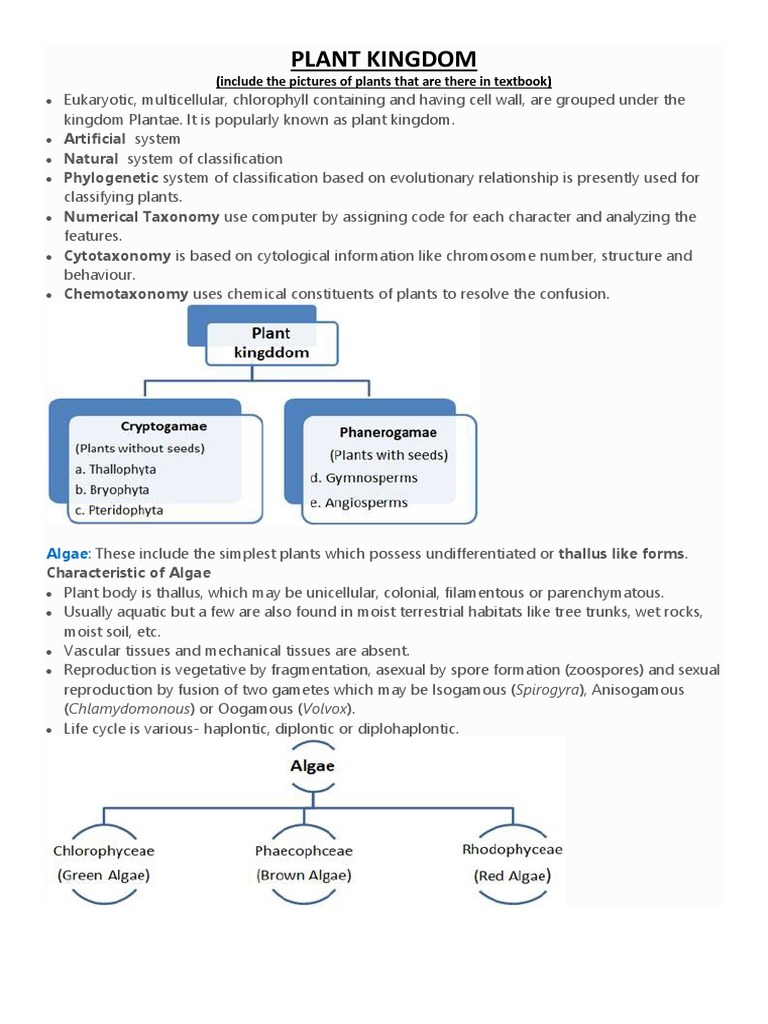 An Overview of Plant Classification Systems and the Key Features of ...