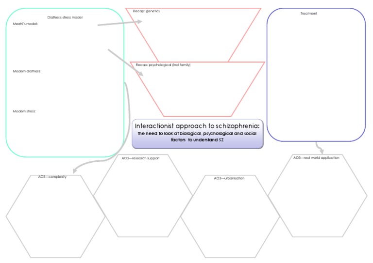 Interactionist Approach to Schizophrenia | PDF