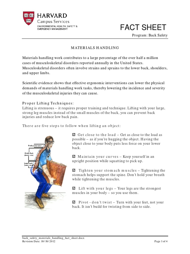 Back Safety Materials Handling Fact Sheet 0 | PDF | Clinical Medicine