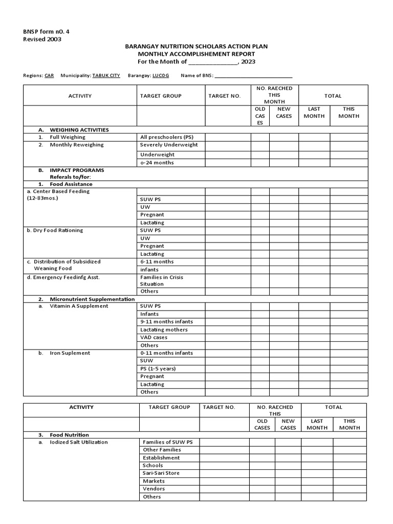 BNS Monthly Accomplishment Report | PDF
