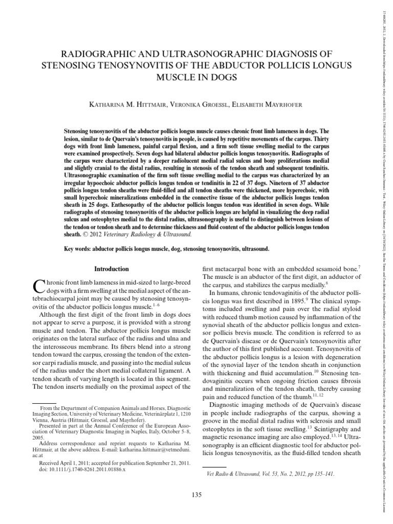 Vet Radiology Ultrasound - 2011 - Hittmair - RADIOGRAPHIC AND ...