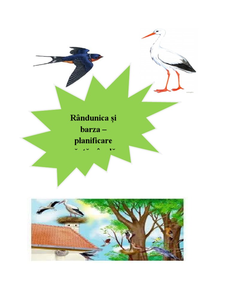 Rândunica Și Barza - Planificare Săptămânală | PDF