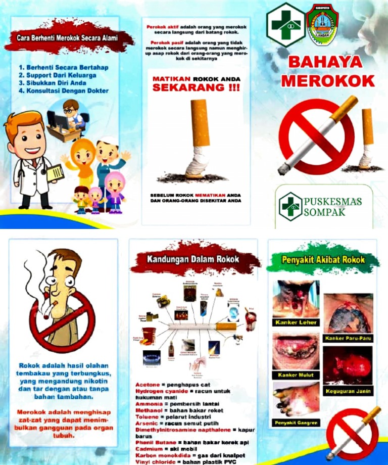 Penyuluhan Rokok | PDF