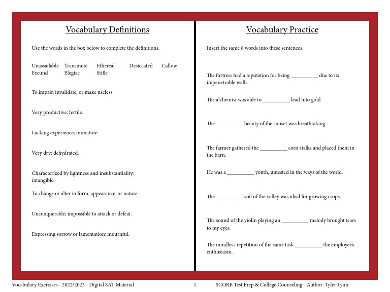 Vocab Exercises (Set 5 Definitions) | PDF