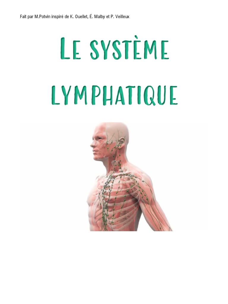 NDC - Le Système Lymphatique Et Excréteur | PDF | Système immunitaire ...