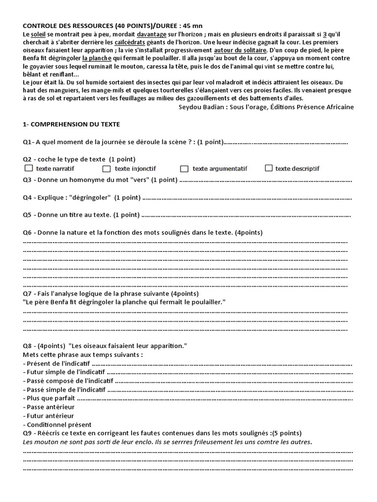 2020 Cfee Langue Et Communication | PDF