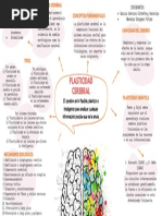 Organizador Visual - Plasticidad Cerebral - Neuropsicologia | PDF