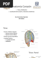 Netter Corazon | PDF | Ventrículo (corazón) | Corazón