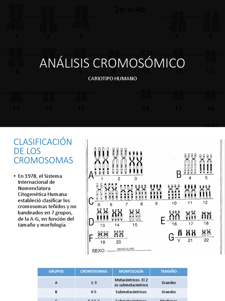 Análisis y Clasificación Cromosómica | PDF | Ciencia y matemáticas