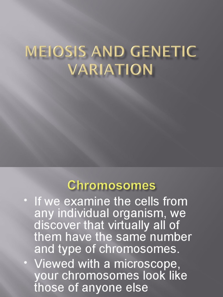 Meiosis and Genetic Variation | PDF | Meiosis | Ploidy
