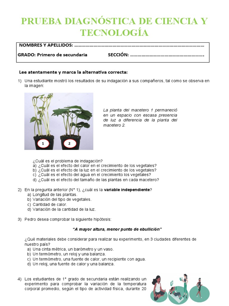 Prueba Diagnóstica de Ciencia Y Tecnología | PDF | Plantas | Naturaleza