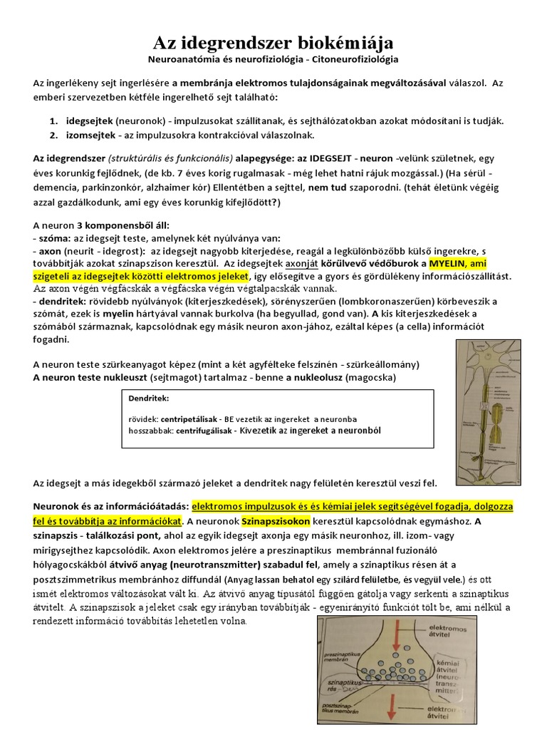 5az Idegrednszer Biokemiaja - Pszichopharmakologia | PDF