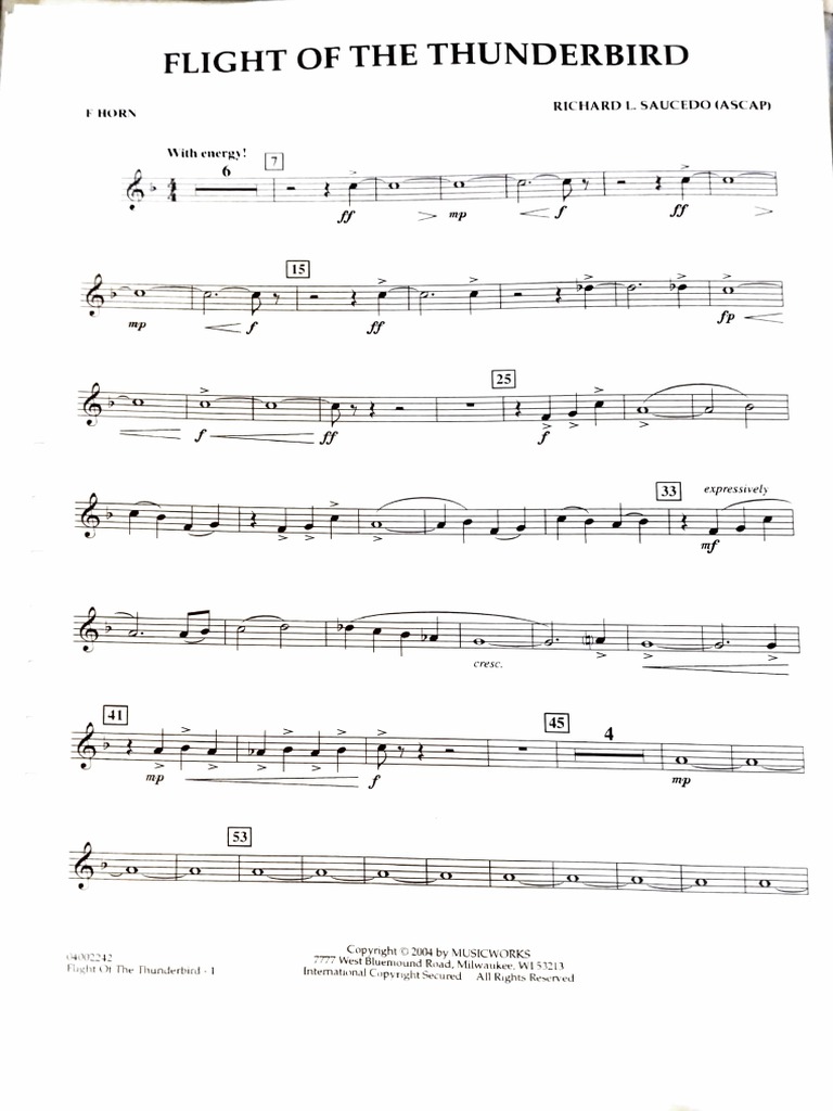 Flight of The Thunderbird | PDF